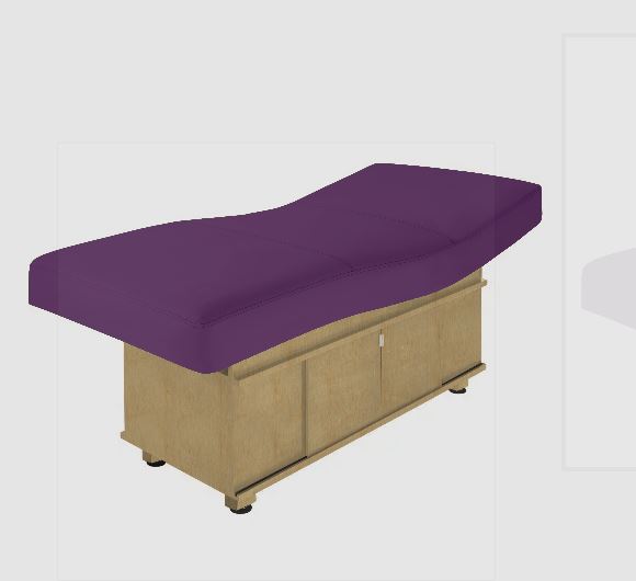 Living Earth Crafts Insignia Classic Multi-Purpose Treatment Table wit ...