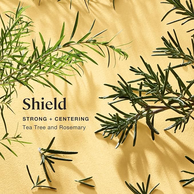 Sprig by Kohler Scented Candle, Shield, 8 oz – Universal Companies