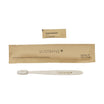 Sustayne Toothbrush & Toothpaste Packet Set, Wheat Straw – Universal ...