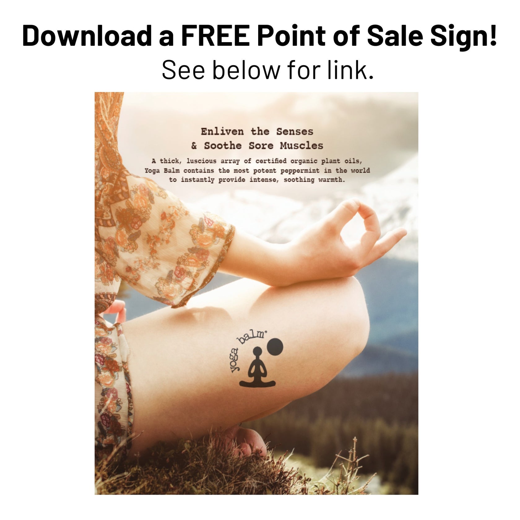 Yoga Balm 12 Piece 1.69 oz Jars + 9 oz for Professional Use – Universal ...