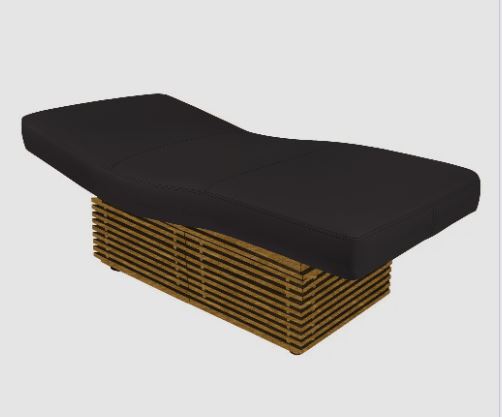 Living Earth Crafts Insignia Modern Multi-Purpose Treatment Table with ...