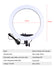 Halo Light Ring Lamp – Universal Companies
