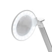 Daylight Halo Table Magnifier – Universal Companies